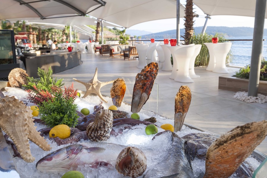 Restaurants & Bars, Bodrum| The Turquoise Collection